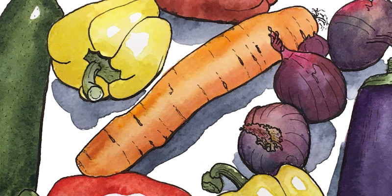 groenten | Sara Schlijper tekeningen